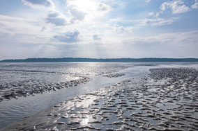 LAMARIN - lamarins Webseite!