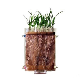 Ready-to-use Germination Pouches - Vienna Scientific