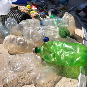 Why is litter a problem? - A Greener Future