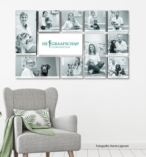 Home - Bloxit - innovatief wanddecoratie systeem