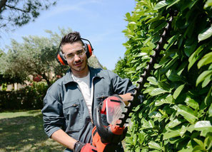 Jan Garden ...und ihr Garten pflegt sich selbt - Jan Garden - Gartenbau ...