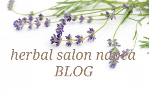 JHSインストラクター - 浦安市舞浜 ハーブとアロマの教室～herbal salon napea~