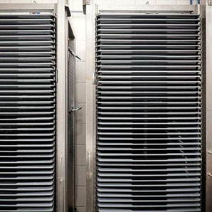 Insect Rearing & Research - Vienna Scientific