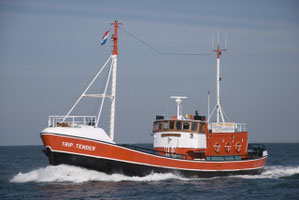 Meeresangeln - Weserangler- Angeln, Angelbücher