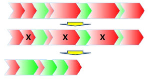 Macro processus, cartographie d'entreprise - Eiphedeïx conseil
