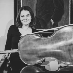 Violoncello (Cello) - msdws Webseite!