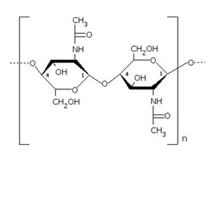 2. Morphologie et plan d'organisation - entomoLOGIC