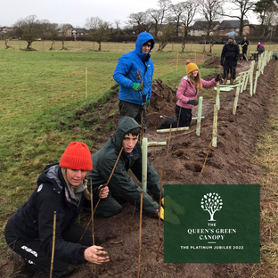 Susan's Farm NEWSLETTERS - susansfarm