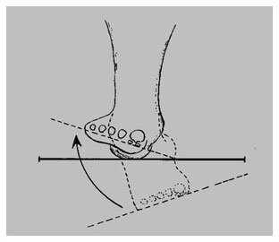FLEXIÓN PLANTAR o EXTENSIÓN DEL PIE: - PODOCUBA J.G.H