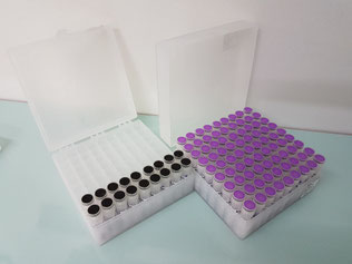 DNA-Loading dye 6X - GeneON BioScience