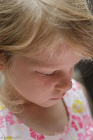 Over mij - De website van stefnuytsfoto!