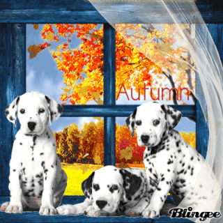 Blingee 2 - anuschkatim-freegifpicturess Webseite!