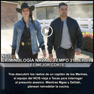 NCIS: Criminologia Naval - Temporada 21 - Mundo NCIS (Audio Latino)