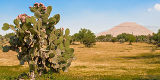 The incredible rise of the Aztec Empire - History Skills