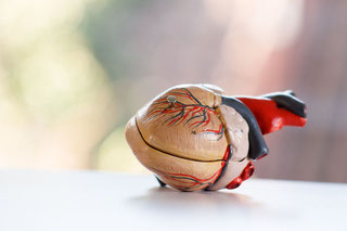 Herzlich Willkommen - Kardiologische Praxis Dr. med. Christian Hofgärtner | Kardiologe