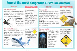 Unit 4 - Australia - Site de english-is-fun-houtland