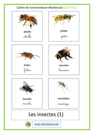 CARTES NOMENCLATURE ANIMAUX - Dictionnaire des animaux