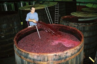 La fermentation - La péremption et la conservation des aliments (TPE)