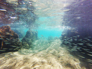 Beach please: Lanzarote - journeytodesign.com