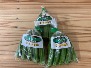 オクラ - evolva-nobiru ページ！