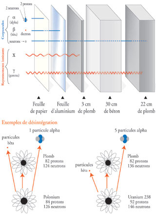 la radioactivité - IRGB