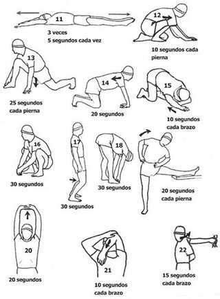 Elongación muscular - Página Jimdo de theplaybook