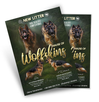 ADVERTISING WITH ANIMALS - PR & Design Studio LA BEAUTY