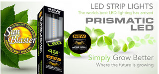 Our Products - SunBlaster Lighting