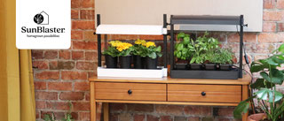 Our Products - SunBlaster Lighting