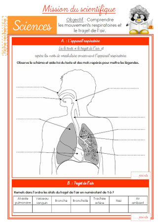 LA RESPIRATION - laclasse2delphine