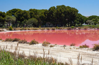 Best Natural Wonders in France - Europe's Best Destinations