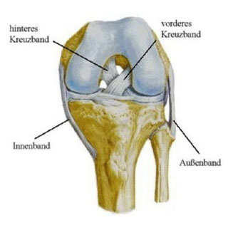 Arthroskopie des Kniegelenks