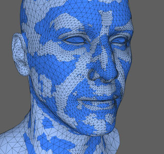 Reshaping Heads for OCs - xbaebsaes Webseite!