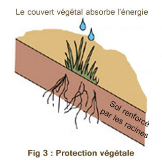 Protection de pente - Bio Green Solutions, Contrôle de l'érosion et ...