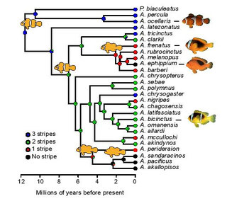 Phylogenetic comparative methods in r - physalia-courses