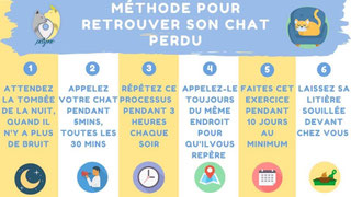 CONSEILS POUR RETROUVER SON CHAT PERDU - Site de sosmistigris87