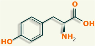 Aminoácidos en las proteínas. Aromáticos, Heterociclos, Ácidos y ...