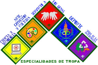 INSIGNIAS DE PROGRESION 2013 - Asociacion Scout de Colombia - Grupo Scout Condores 123 Cali