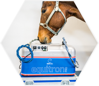 Equitron Pro - REFIT Horse Center