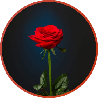 The Team Members of Dean Forest Works - deanforestworks