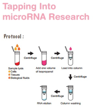 microRNA Extraction - GeneON BioScience