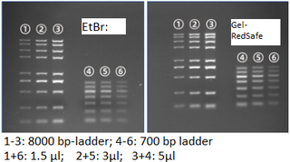 GelRed Substitute 10000x in water - GeneON-BioScience