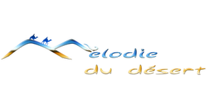 Les plantes du désert Maroc - Voyage désert Maroc