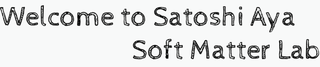 Journal - Satoshi Aya Soft Matter Lab. @Guangzhou