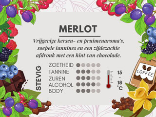 Wat is Merlot? Wijn Guide + Infographic - Wijn Wine Wein