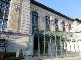 Tadao Ando - Ken Tanaka Tokyo English Tour Guide