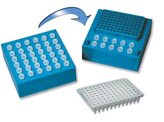 PCR-Rack plates and PCR-tubes station - GeneON BioScience
