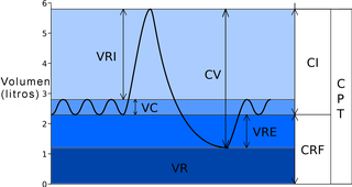 Volumen Tidal - Aurum