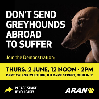 SOS Greyhounds - Site de europe4strays