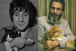 I'm Gonna Be King - Cat Stevens